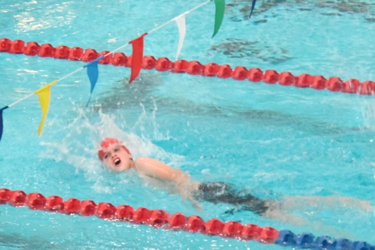 Tigers Create Waves at ACAMIS Swimming