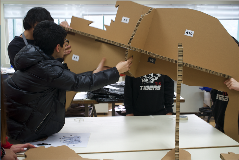 Assembling the Tiger Frame and Learning about Mangroves