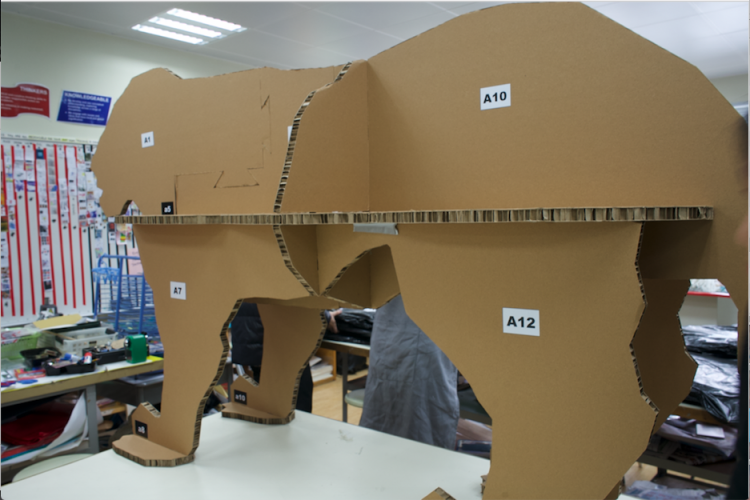 Assembling the Tiger Frame and Learning about Mangroves