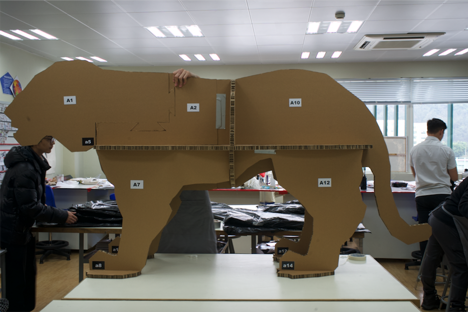 Assembling the Tiger Frame and Learning about Mangroves