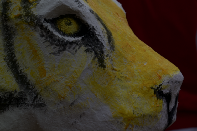 Painting the Tiger and Planting the Mangroves at TIS