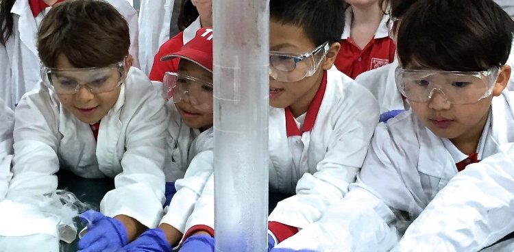 Our Programs – TIS