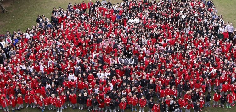 Student Services – TIS